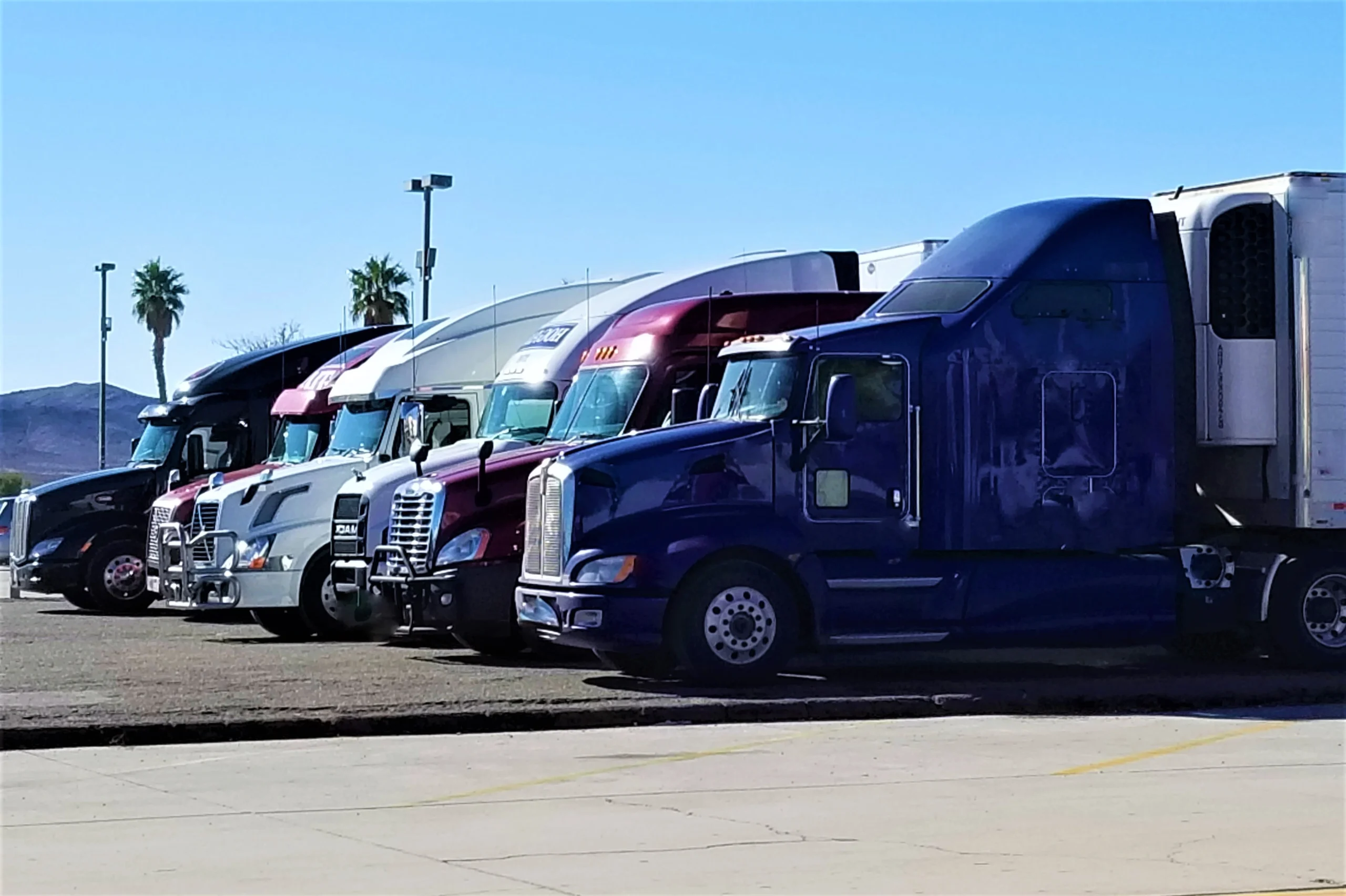 Dyna Truck Transport GCC | Efficient cargo solutions across region